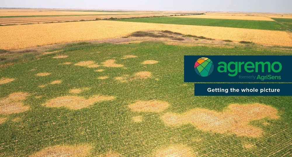 How to Spot Plant Disease and Weed? This Smart Farmer Tried Drone ...