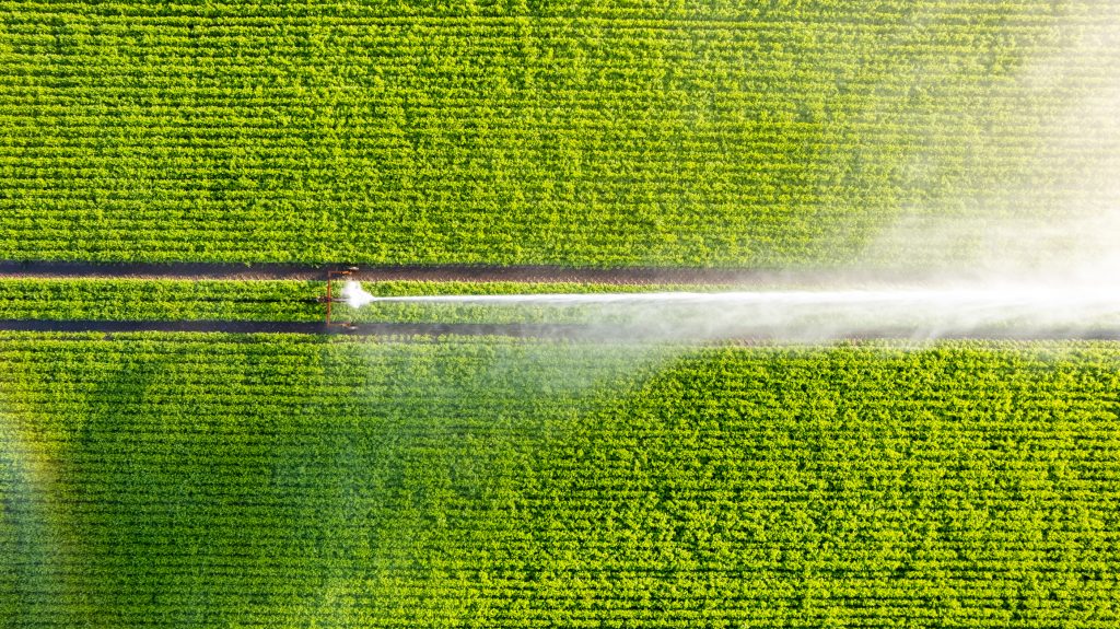 Potato Farming: Advanced crop monitoring & smart spraying - Agremo