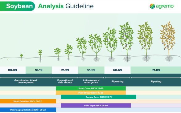 Increasing Soybean Production Sustainably with Agremo - Agremo