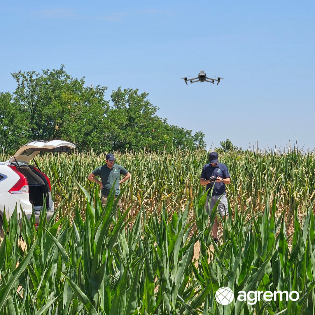 Agremo VRA Boosts Corn Yields & Cuts Fertilizer Use by 36% - Agremo