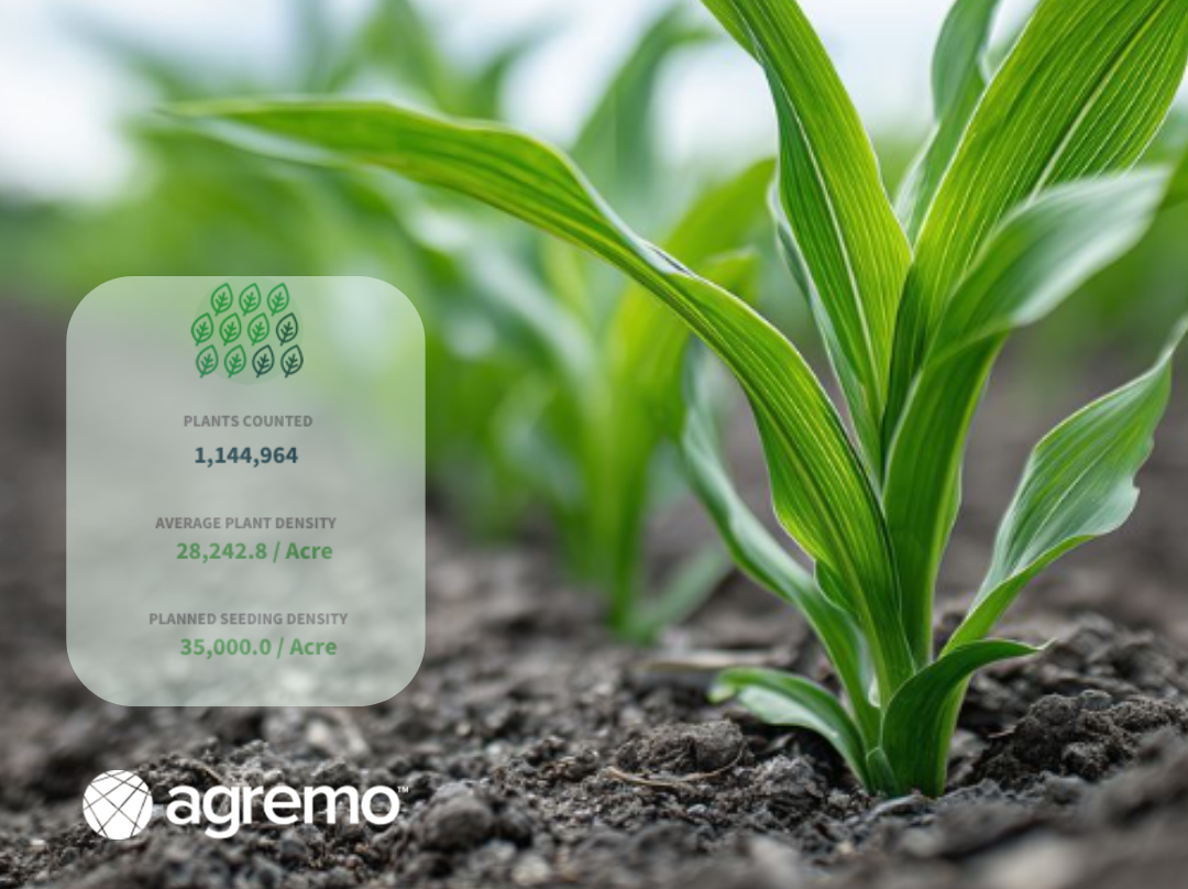 AI Stand Count for Corn: Target Weak Zones and Prevent Yield Loss - Agremo